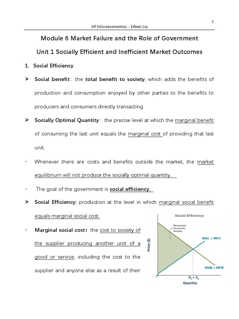 Market Failure and Social Efficiency | PDF | Profit (Economics ...