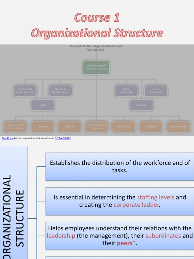 C01 - Organizational Structure PDF | PDF | Organizational Structure ...