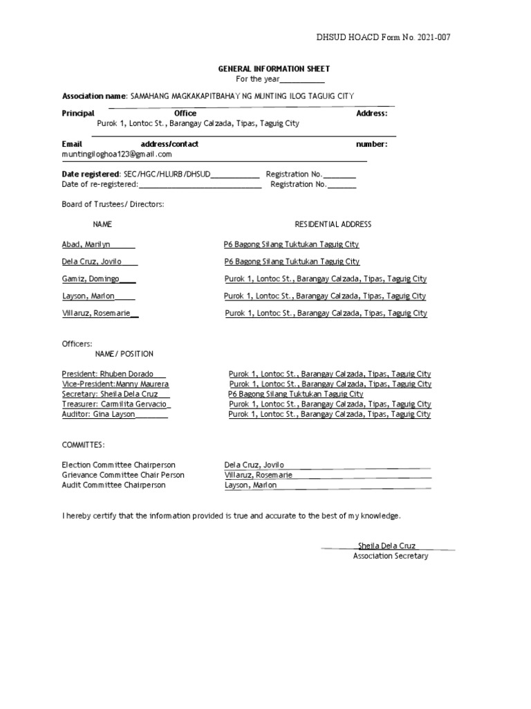 General Information Sheet | Download Free PDF | Business | Governance