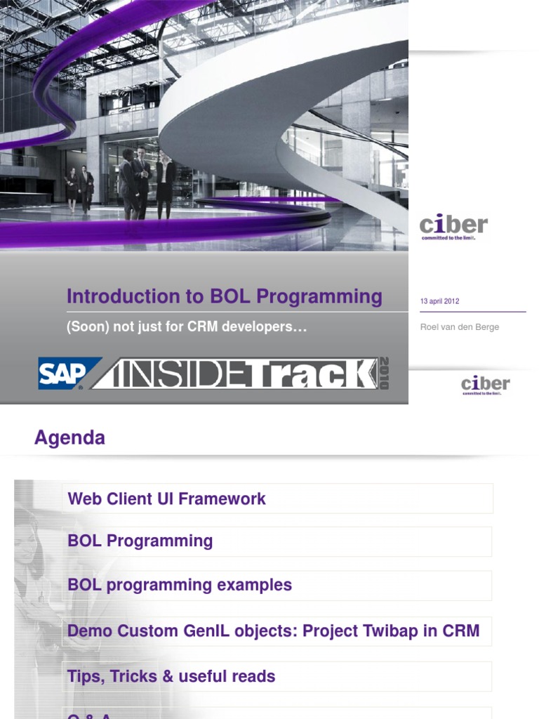 Introduction To Bol Programming Pdf Object Computer Science Application Programming