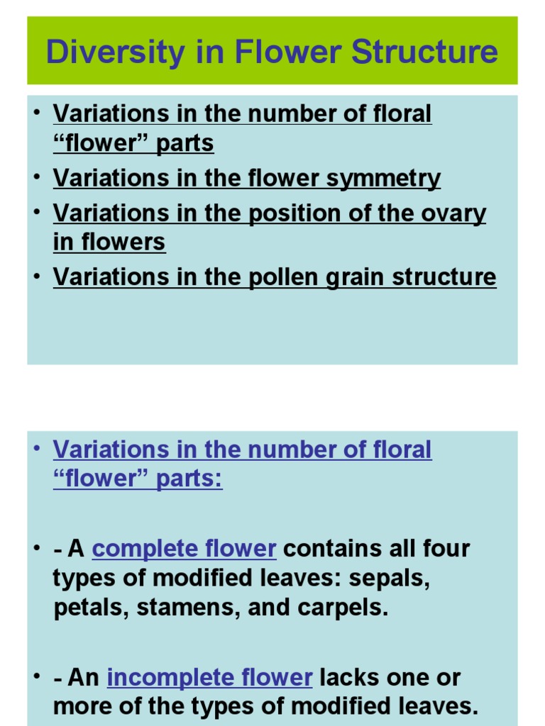 6 - Diversity of Flower Structure | PDF