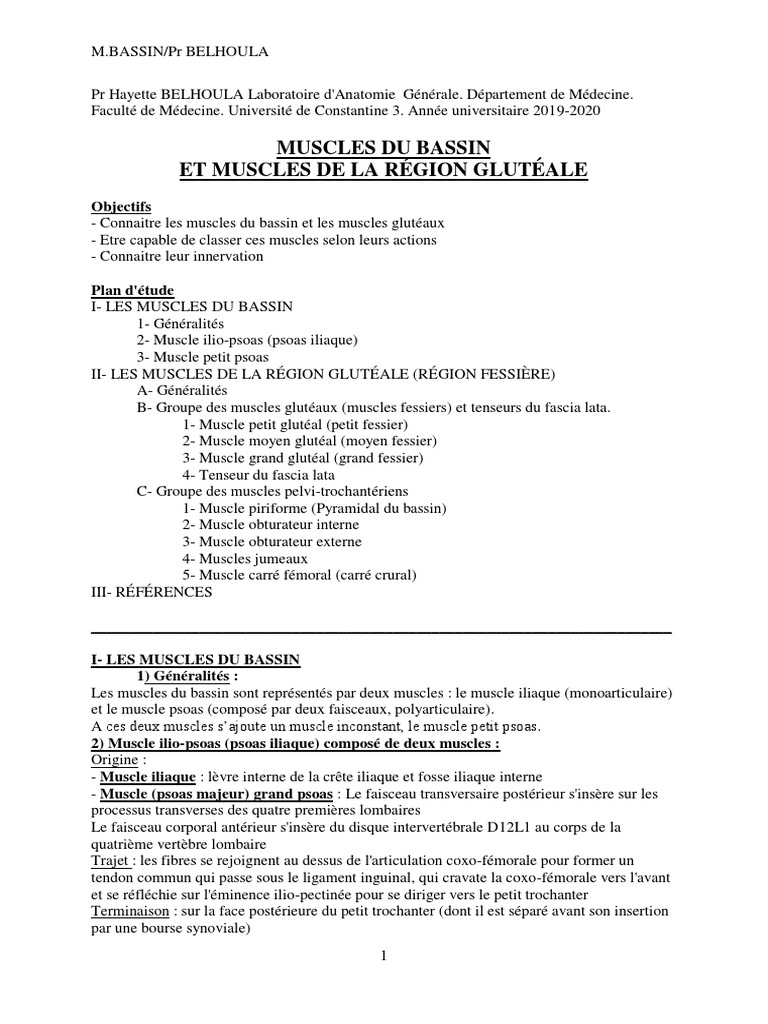 Anatomie des Muscles du Bassin | PDF | Wellness