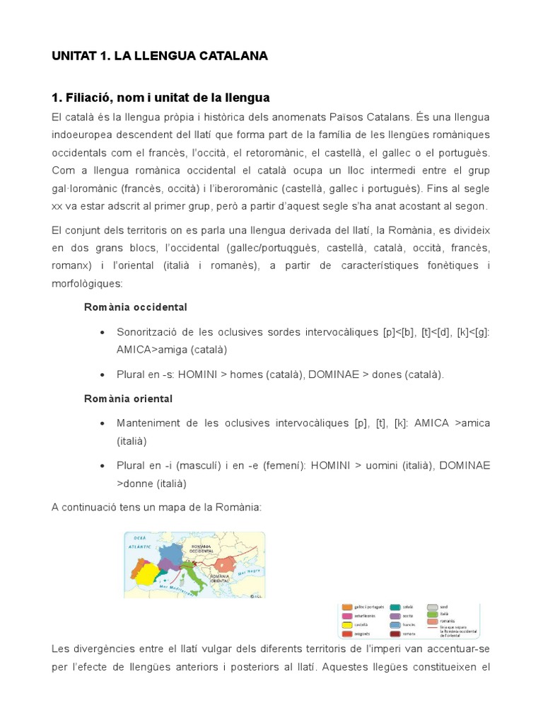 Unitat 1 LA LLENGUA CATALANA | PDF