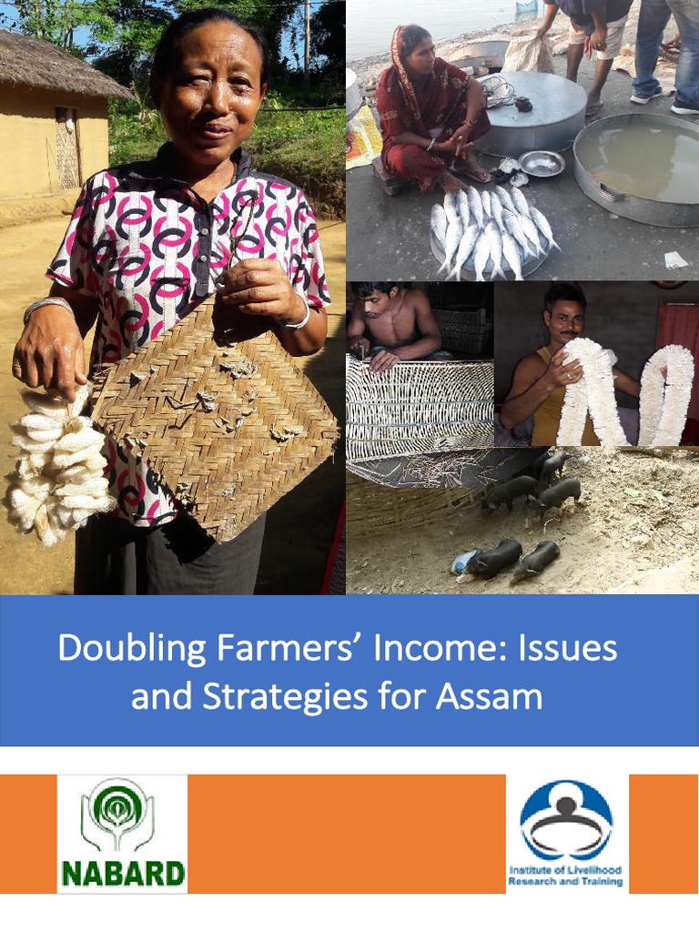 Doubling Farmers Income Issues and Strategies Assam's Report | PDF ...