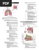 Axial Skeleton Labeling Worksheet | PDF | Vertebral Column | Vertebra