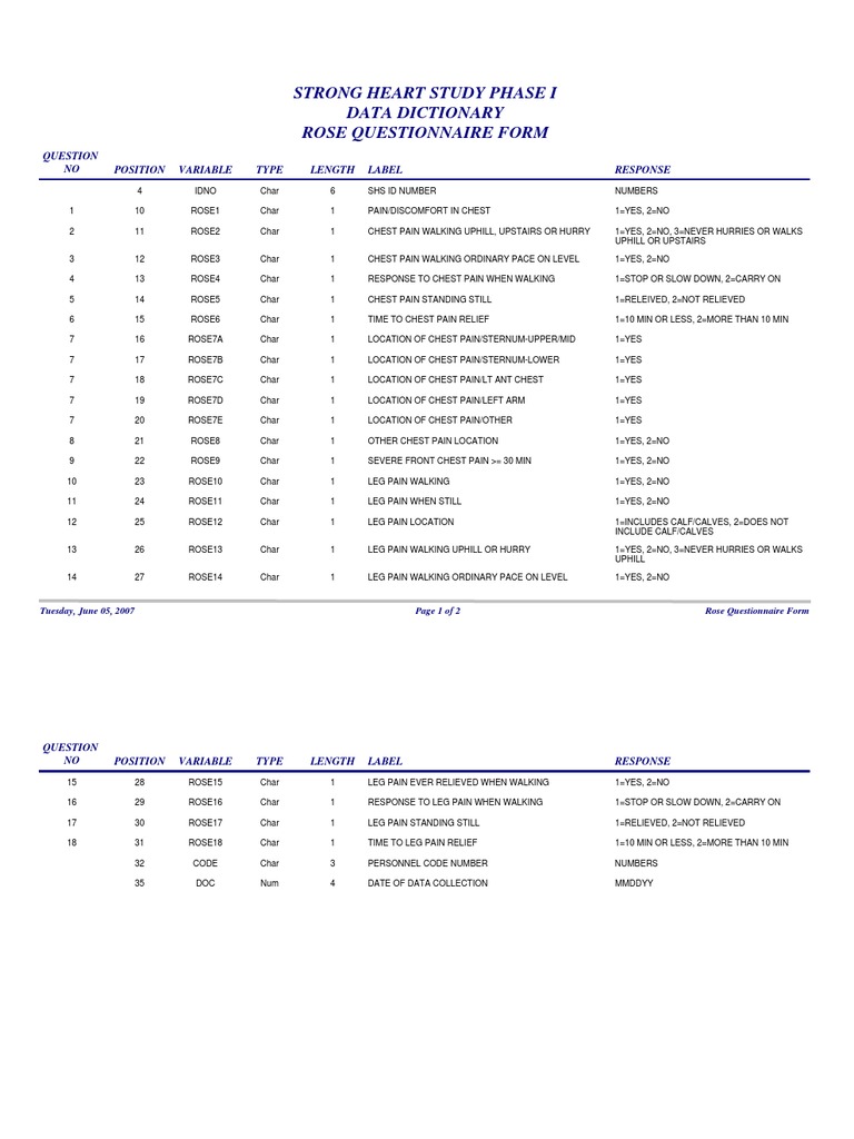 DIC Rose Questionnaire | PDF