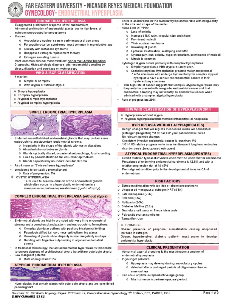 GYNE Endometrial Hyperplasia Dr. Ahyong Reyes Sleepy Crammers | PDF | Menopause | Mammal Female ...