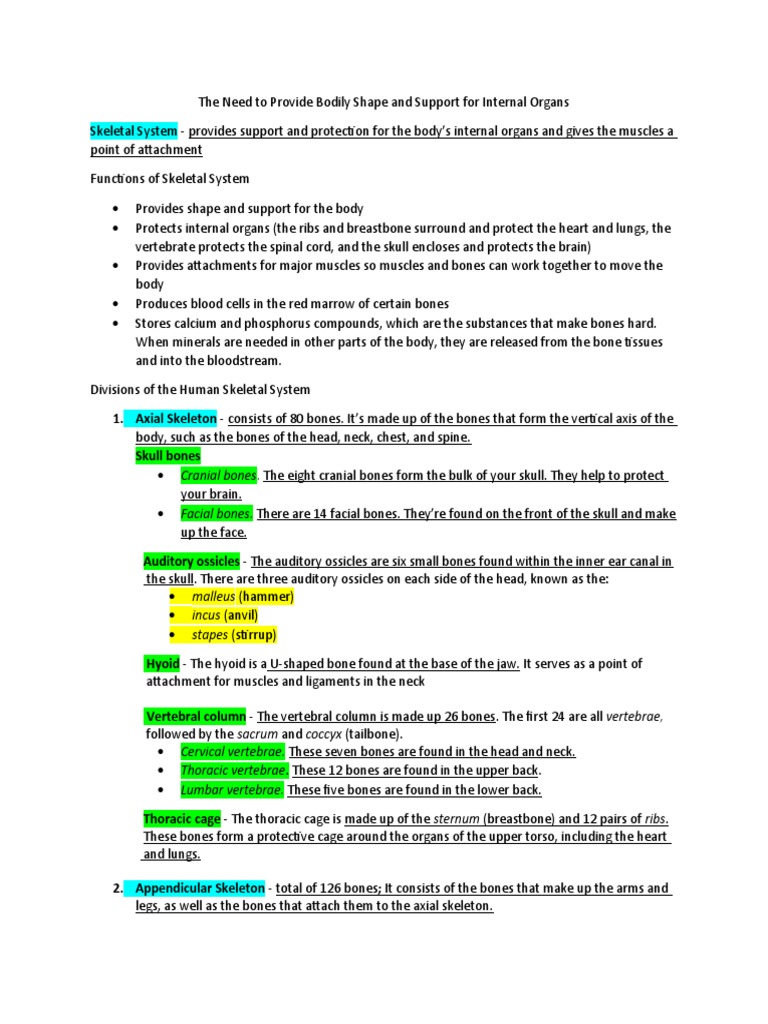The Skeletal System: Providing Structure and Protection for the ...