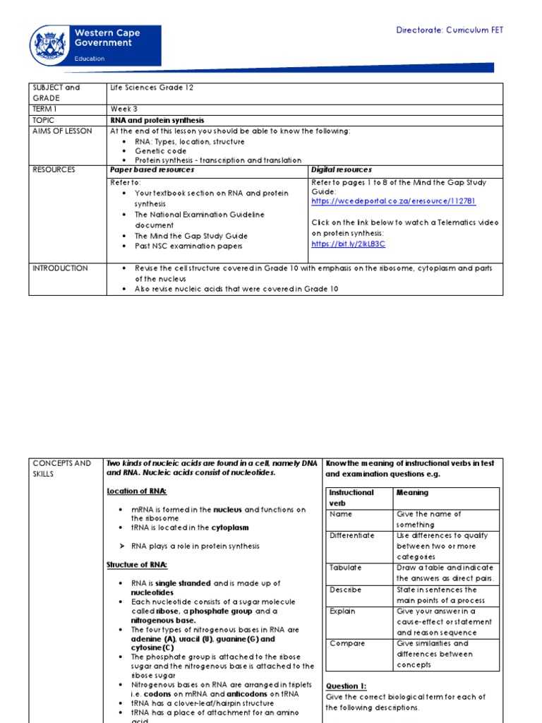 Life Sciences Grade 12 Term 1 Week 3 - 2021 | PDF | Translation ...