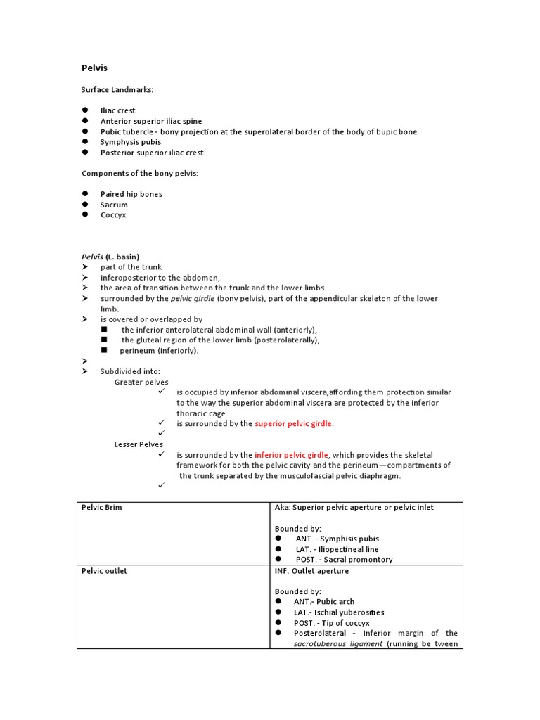 ANATOMY Trans PELVIS POST ABDOMINAL WALL PERINEUM | PDF | Pelvis ...