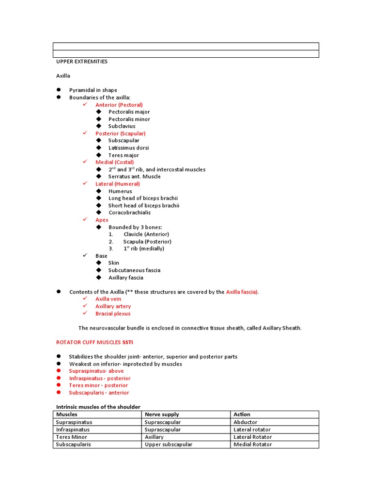 Anatomy Trans UPPER EXTREMITIES | PDF | Arm | Thumb
