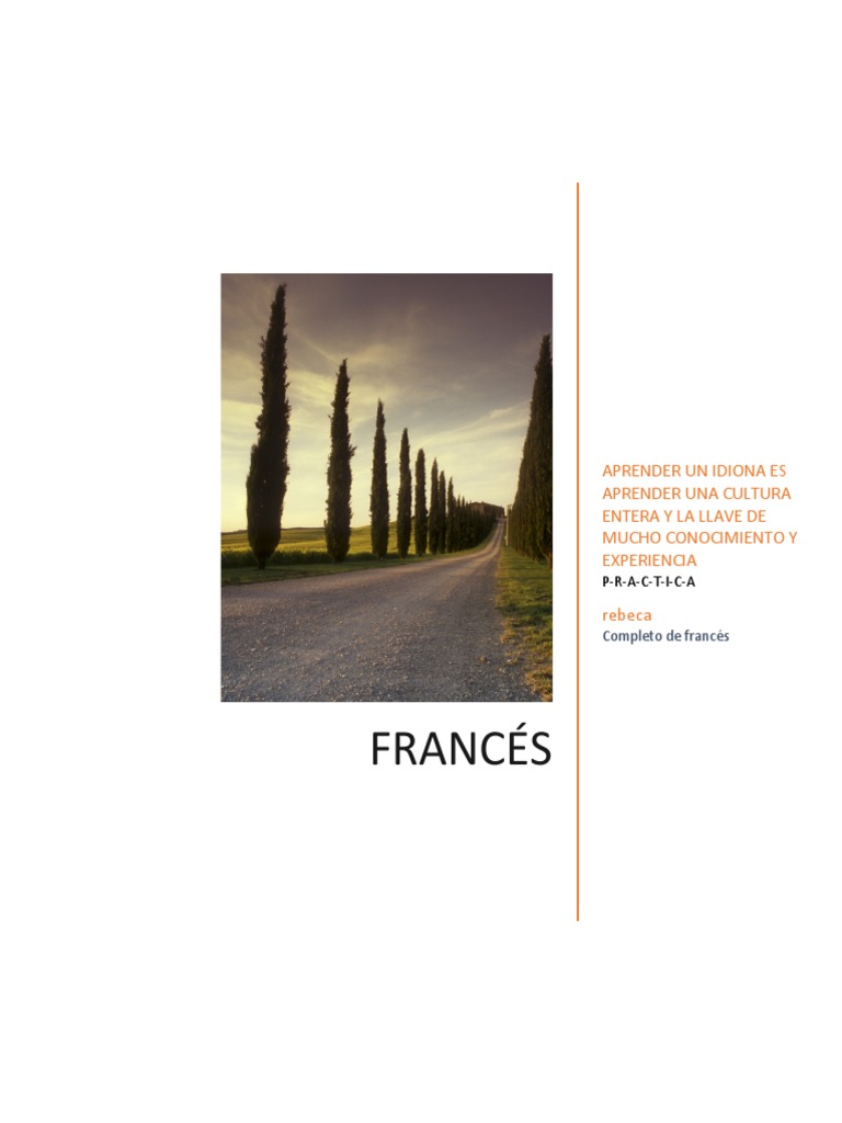 Guía Básica de Francés para Principiantes | PDF | Idioma francés ...