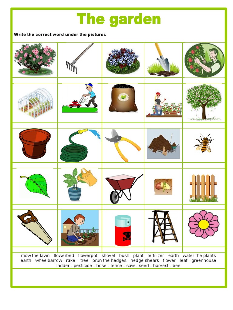 picture-dictionary-the-garden-oneonone-activities-picture-dictionaries ...