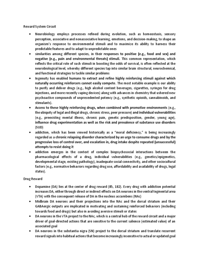 Neurobiology of Reward System Circuit | PDF | Reward System | Striatum
