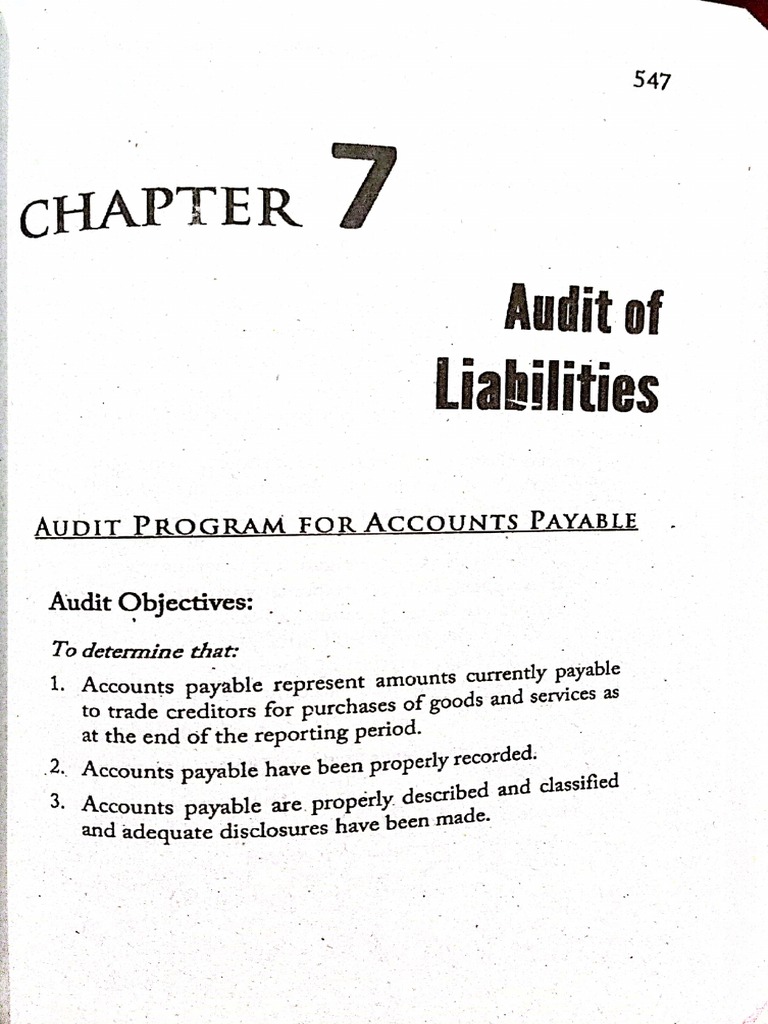 Audit 2, Copy of CHAPTER 7 | PDF