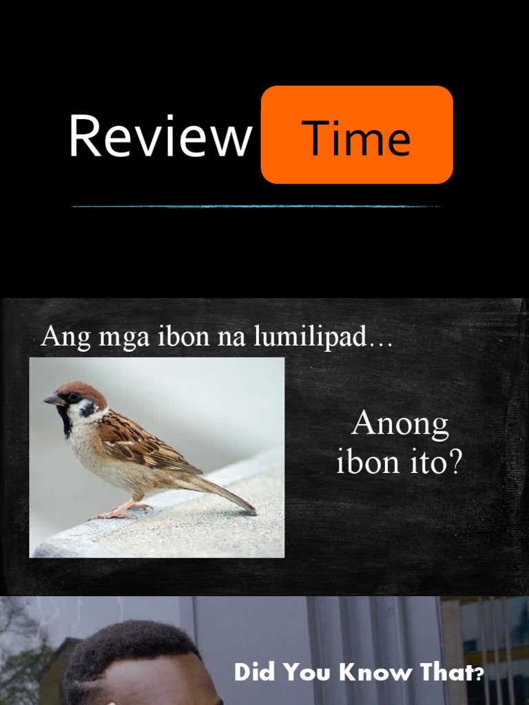 (AP) Kabihasnang Maya, Aztec at Inca | PDF