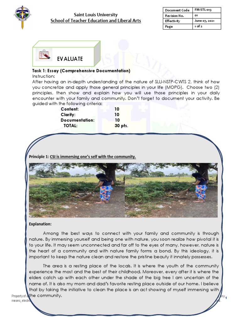 SAN PEDRO - Module 1-Evaluate-Task 1-Comprehensive Documentation PDF | PDF