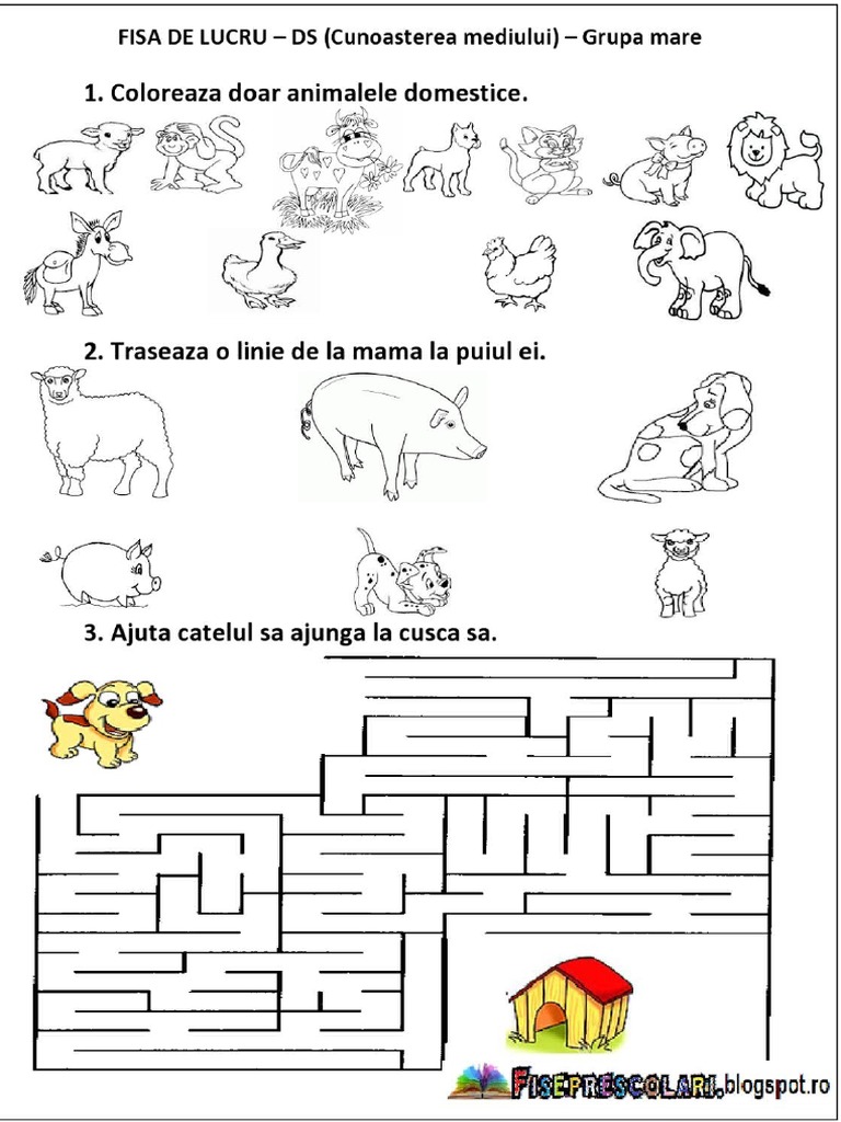 Fisa Animale Domestice | PDF