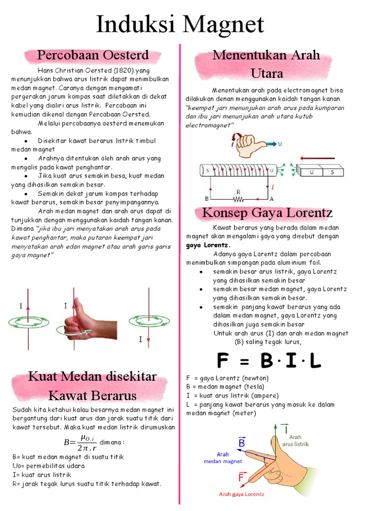 Teori Kemagnetan Bumi | PDF