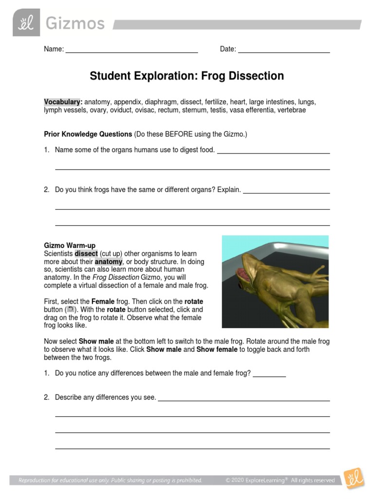 Marc Forchetti - Frog Dissection Virtual Lab | PDF | Human Body | Blood