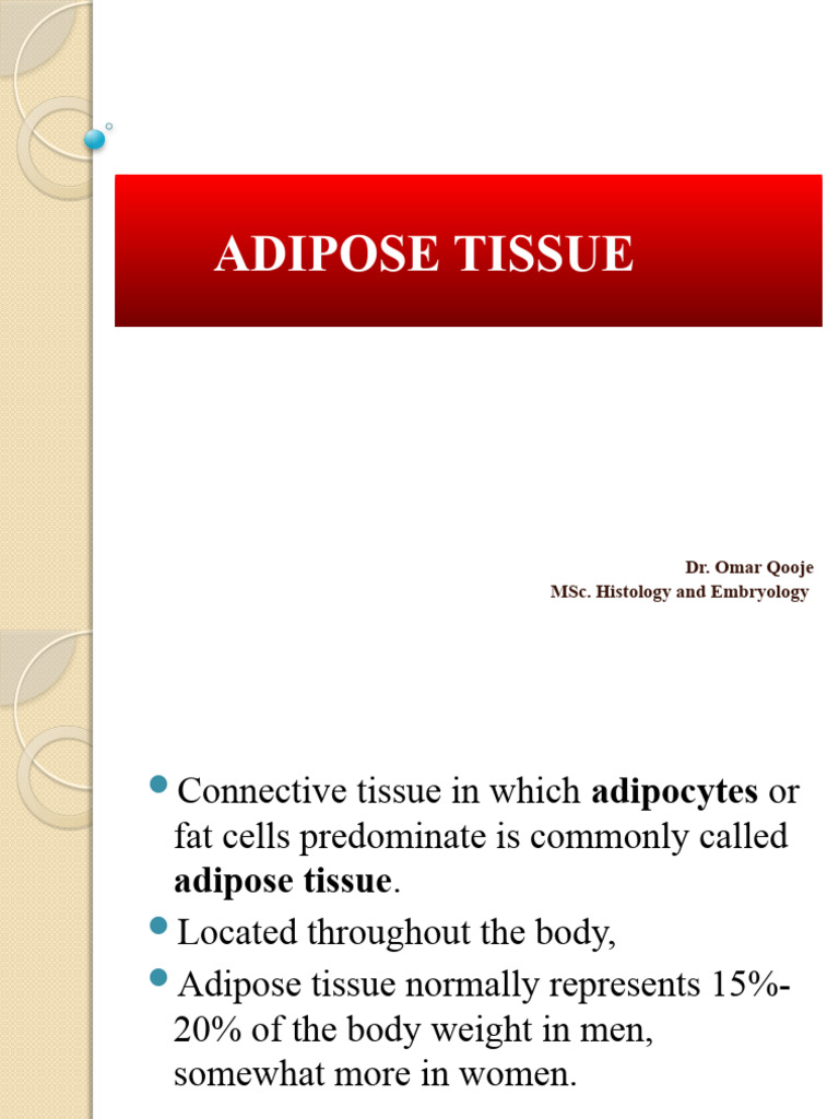 Functions and Types of Adipose Tissue | PDF | Adipose Tissue | Adipocyte