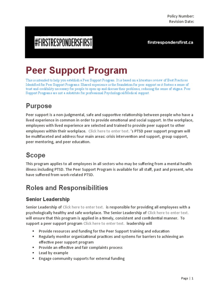 Setting Up A Peer Support Program Document | PDF | Confidentiality | Mental Disorder