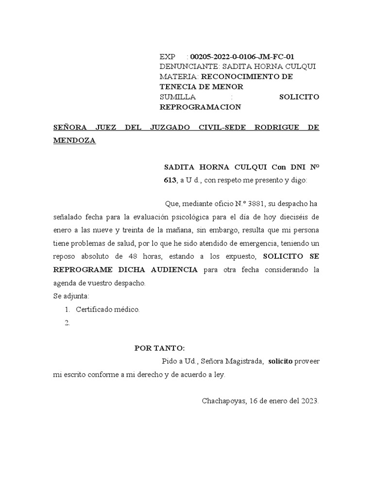 Solicito Reprogramacion | PDF