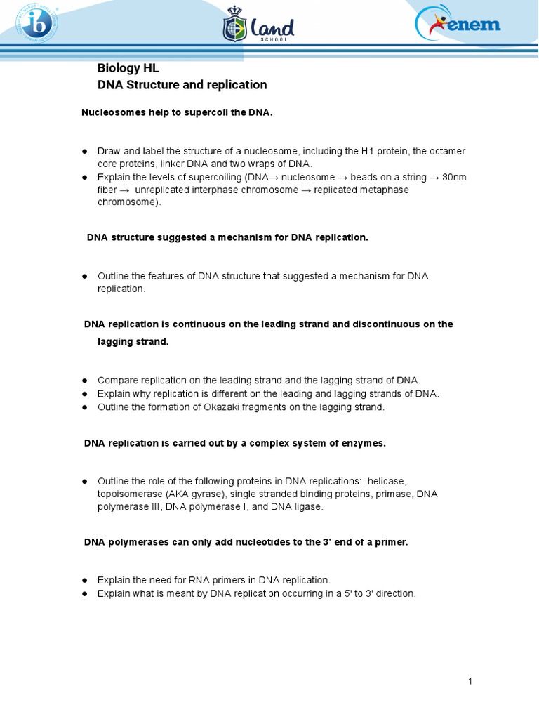 DNA Structure and Replication Investigation | PDF