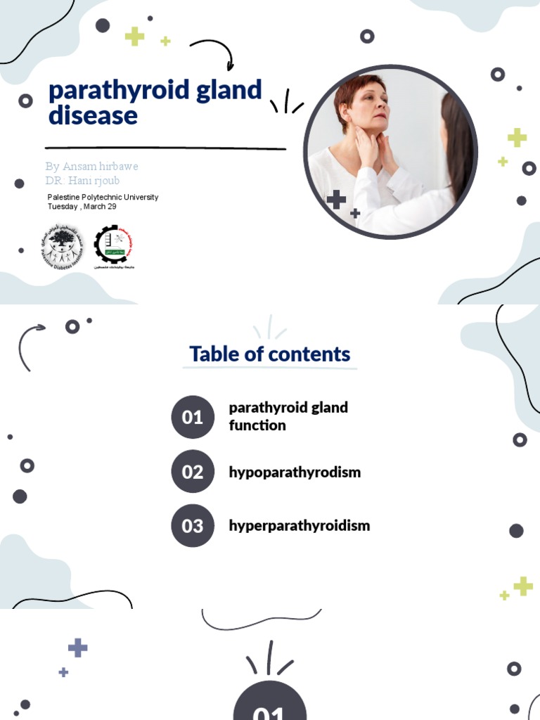 Parathyrooid Ansam | PDF | Parathyroid Gland | Endocrine System