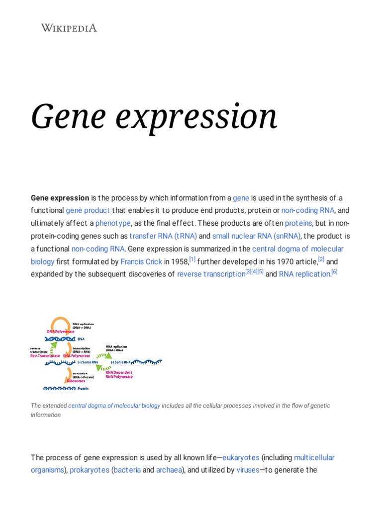 Gene Expression - Wikipedia | PDF | Gene Expression | Gene