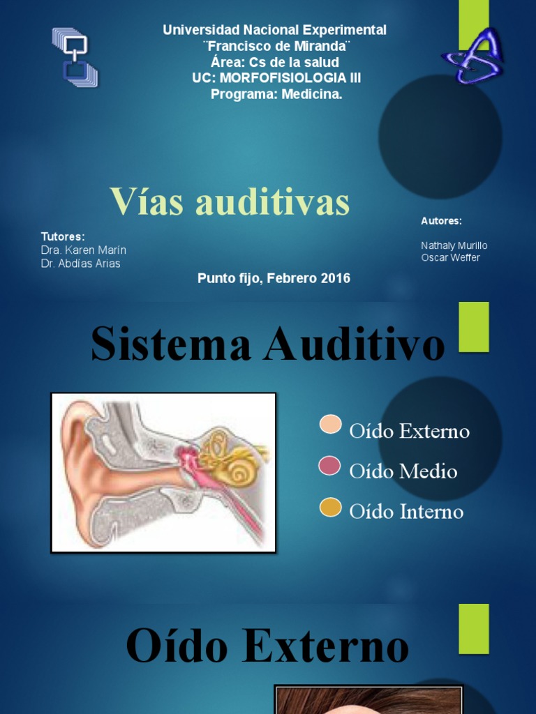 Via Auditiva y Vestibular | PDF