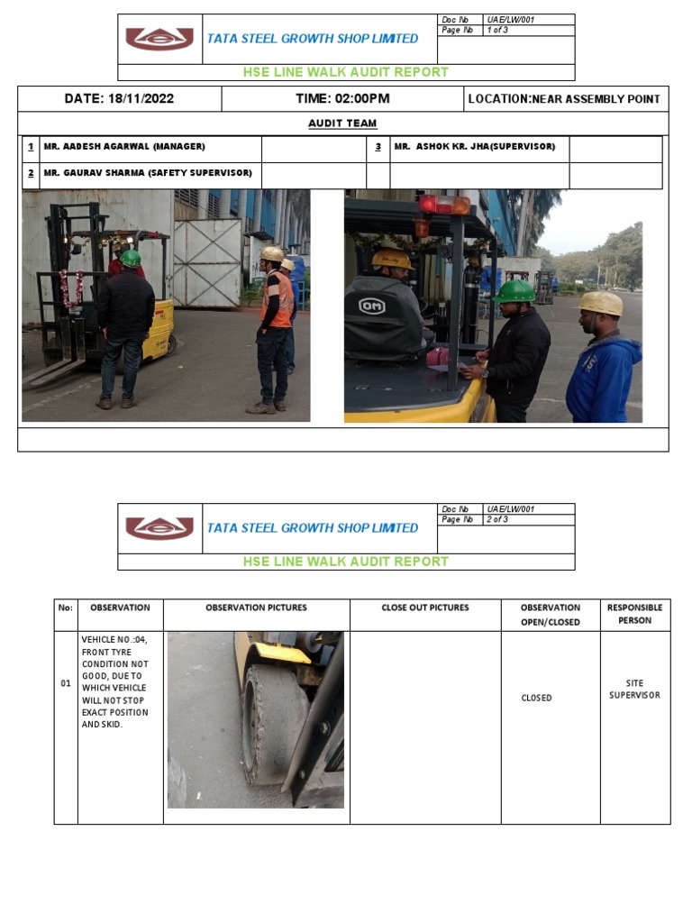 November Dri Line Walk Audit | PDF