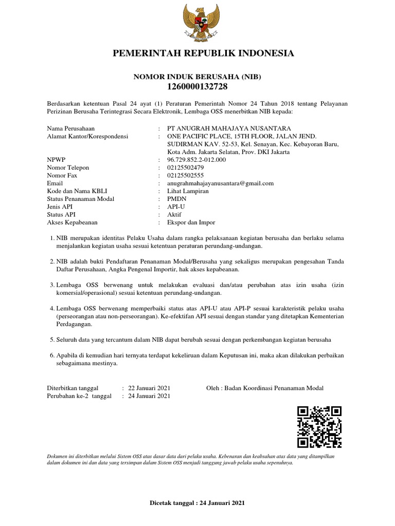 AMN - 2021 - NIB | PDF