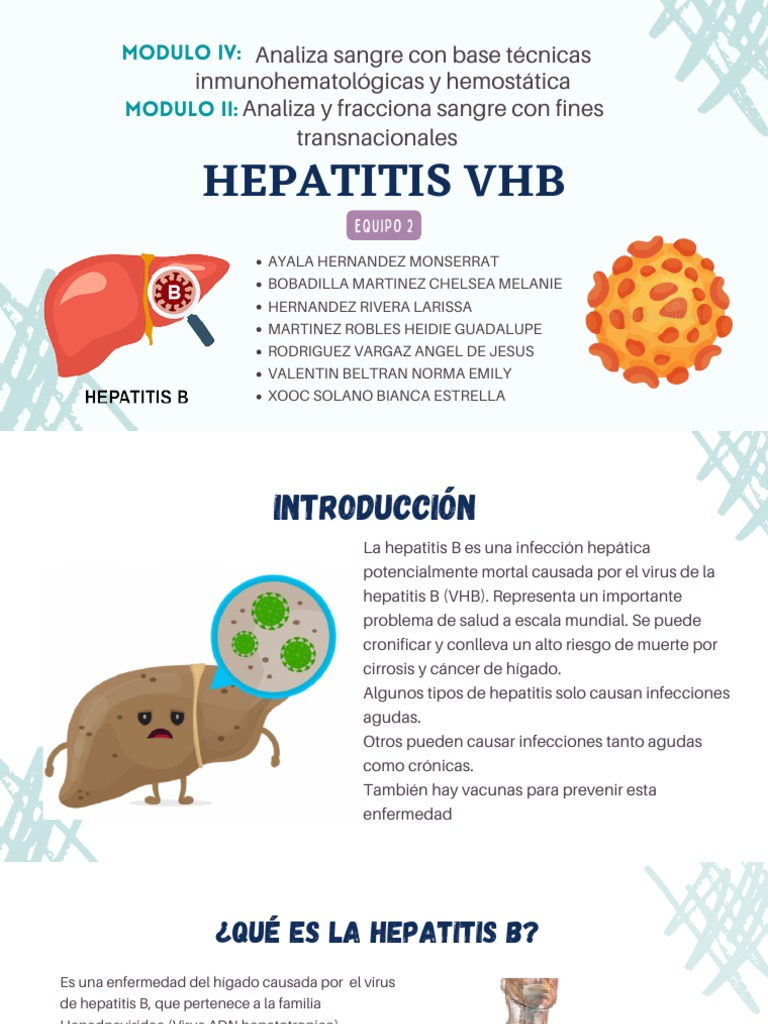 HEPATITIS B (1) | PDF | Hepatitis B | Hepatitis