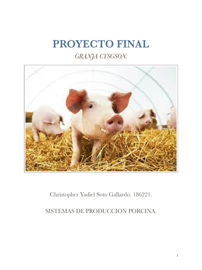Trabajo Final Cerdos Terminado | PDF