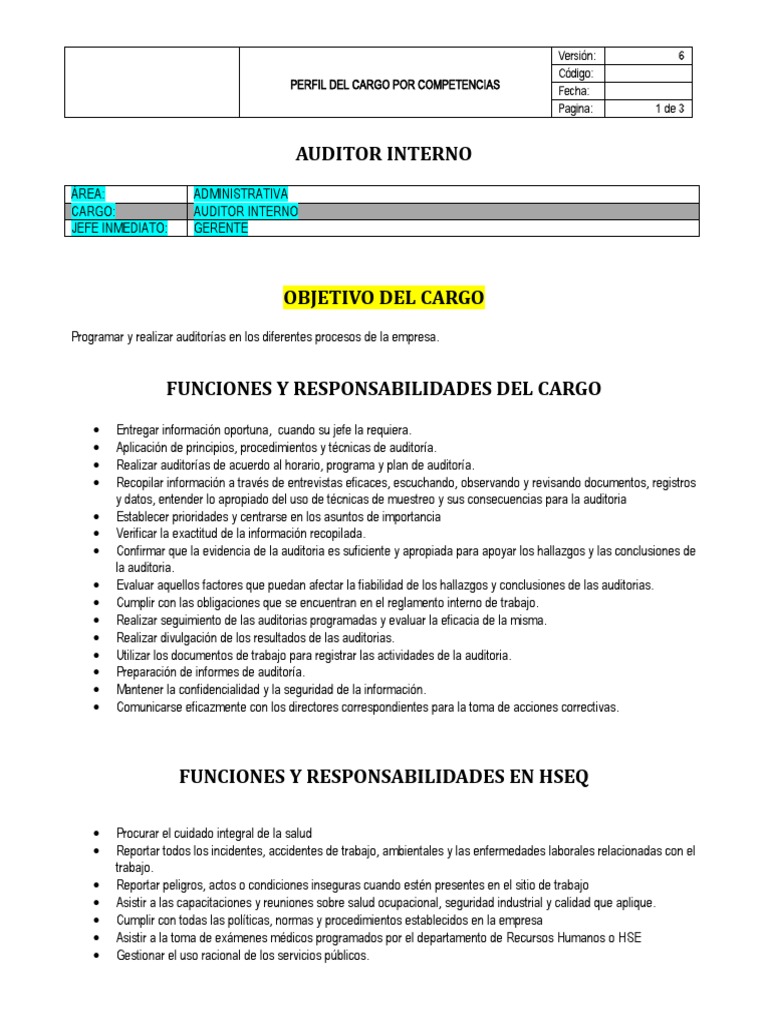 Auditor Interno | PDF | Auditoría | Contralor