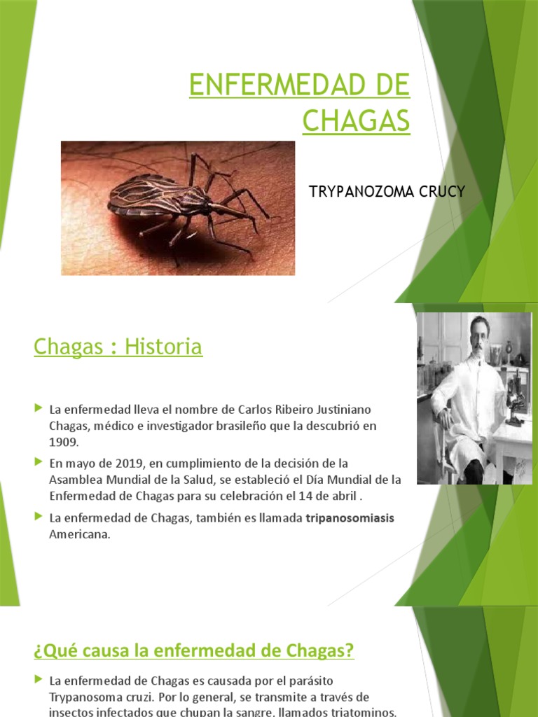 Enfermedad de Chagas Diapositivas | PDF | Especialidades Medicas ...