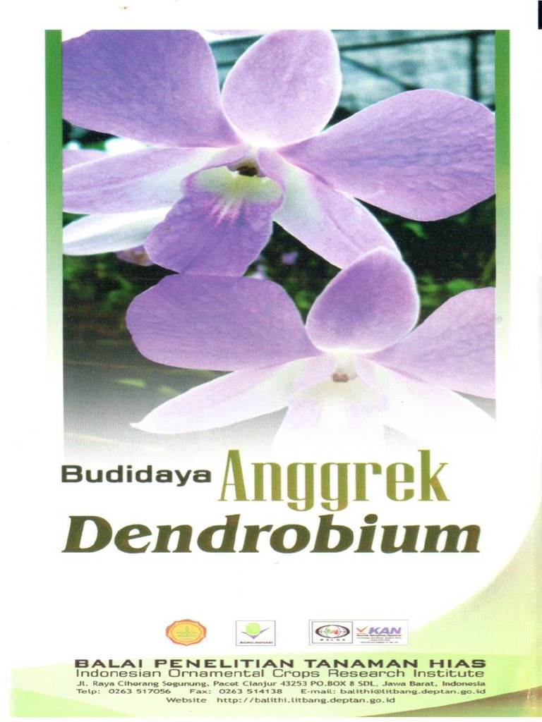 Budidaya Anggrek Dendrobium PDF | PDF