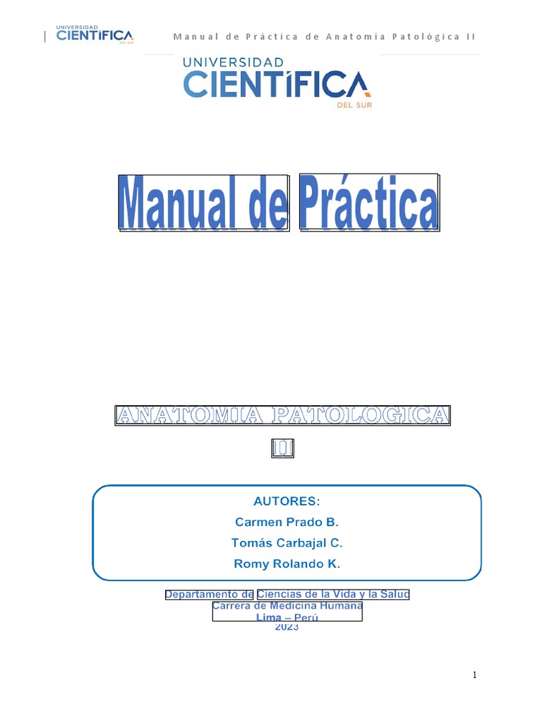Guia de Practicas AP2 2023-1 | PDF | Patología | Riñón