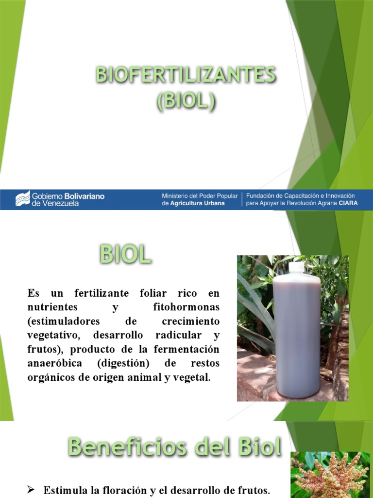 BIOL | PDF | Fermentación | Agua