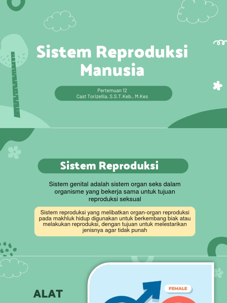 Kelenjar Prostat dan Cowper pada Pria | PDF | Ilmu Sosial | Kesehatan ...