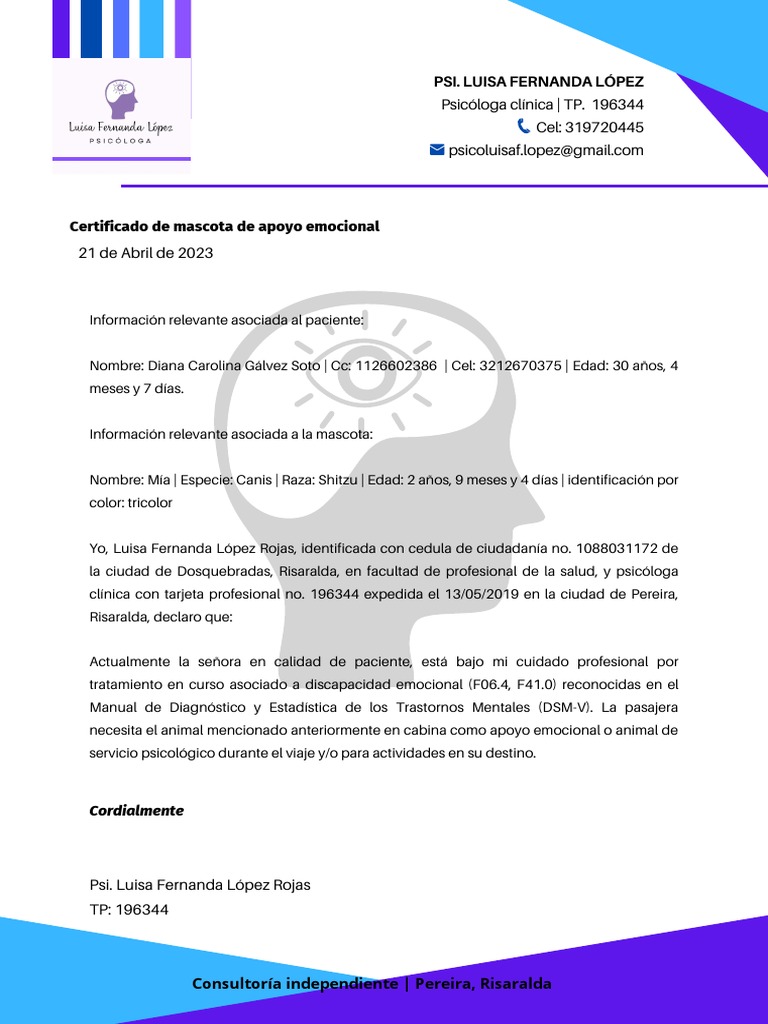 Ejemplo De Certificado De Asistencia Icfes