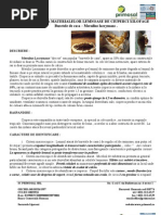 Model Fisa Client | PDF