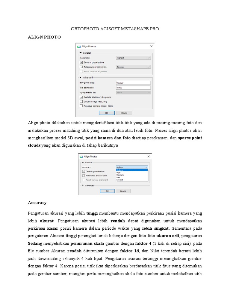 Ortophoto Agisoft Metashape Pro | PDF | Komputer