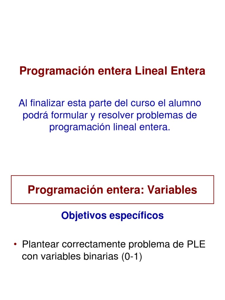 06 Programación Entera PDF | PDF | Matriz (Matemáticas) | Programación lineal