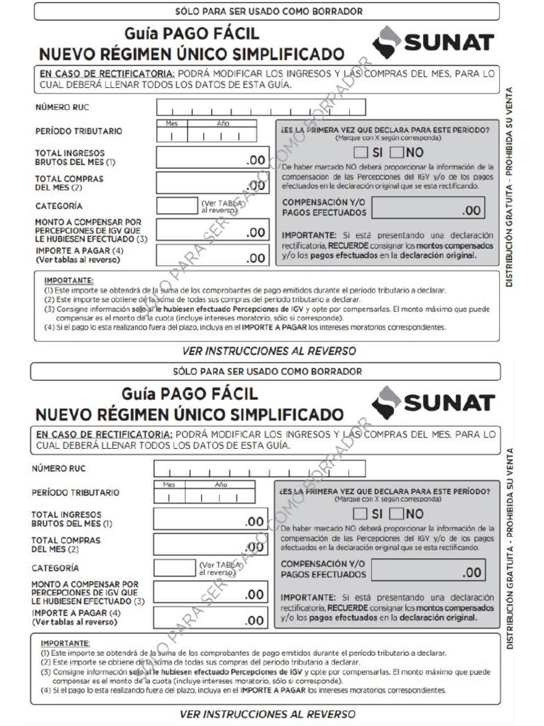 Guia de Pago Nuevo Rus | PDF