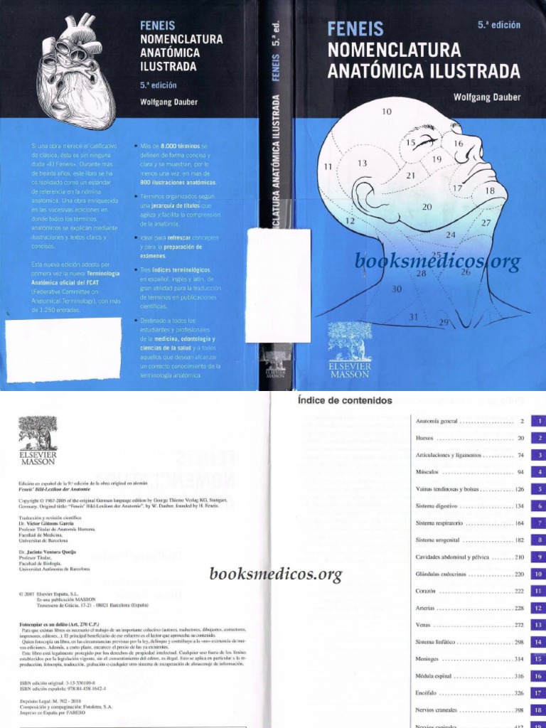 Feneis - Nomenclatura Anatomica Ilustrada | PDF