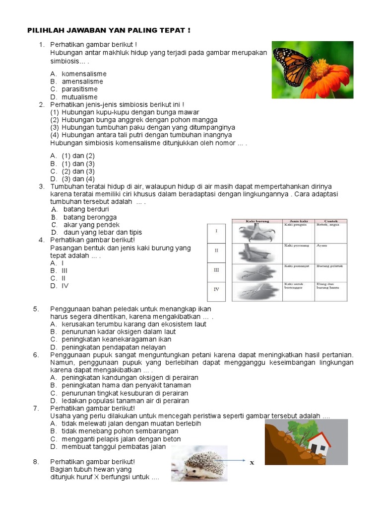 Soal Ujian Sekolah Ipa 2023 | PDF