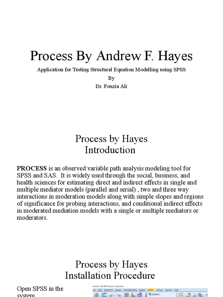 Process by Hayes | PDF