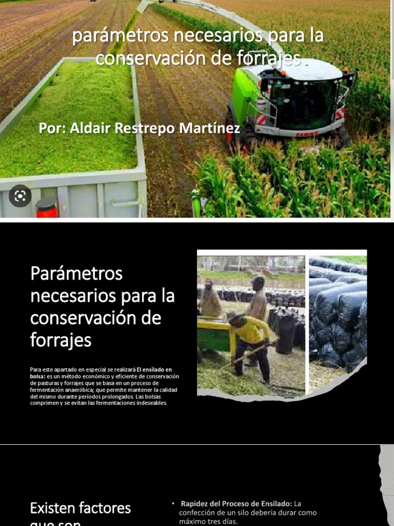 Presentación Conservacion de Forrajes | PDF | Agricultura | Industria de alimentos